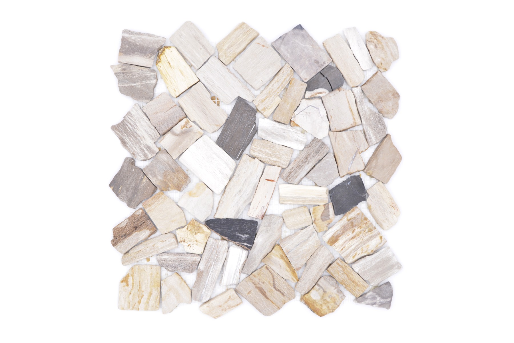 Ciot FNWS | Welscheit GmbH